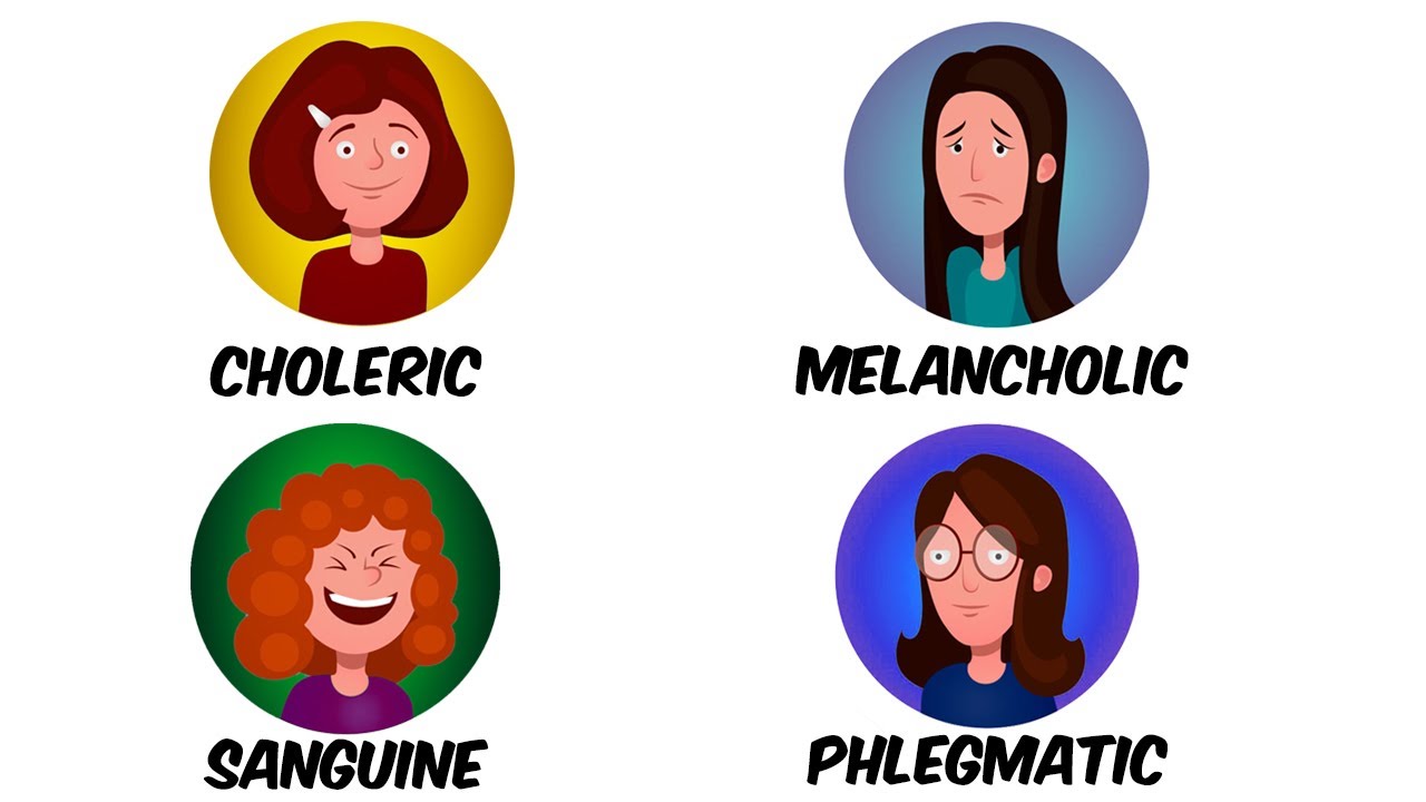 4 Types of Temperaments Explained 3 Minutes