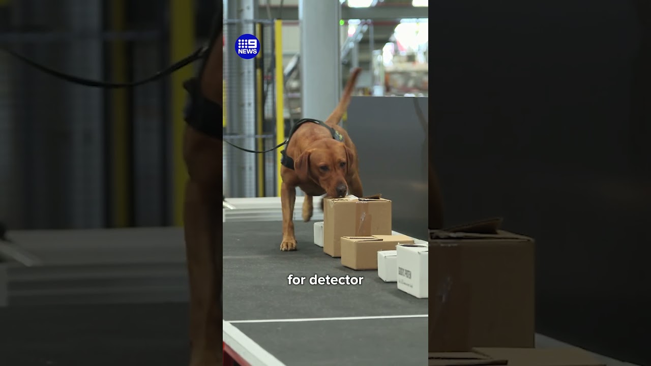 Aus Post opens its largest air and speed hub | 9 News Australia