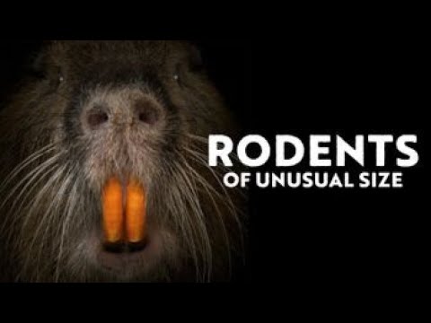 Rodents of Unusual Size (OFFICIAL TRAILER) | Means TV