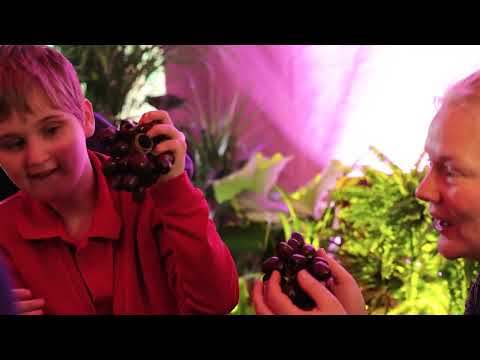 When the World Turns - Sensory Theatre show from Oily Cart and Polyglot Theatre | Trailer