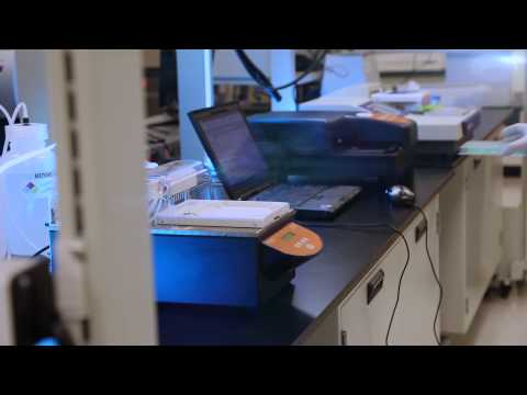 EMax Plus Microplate Reader & MultiWash+ Microplate Washer