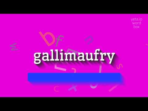 HOW TO PRONOUNCE GALLIMAUFRY?