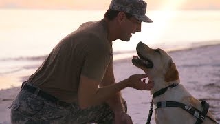 Southeastern Guide Dogs, Inc. - GuideStar Profile