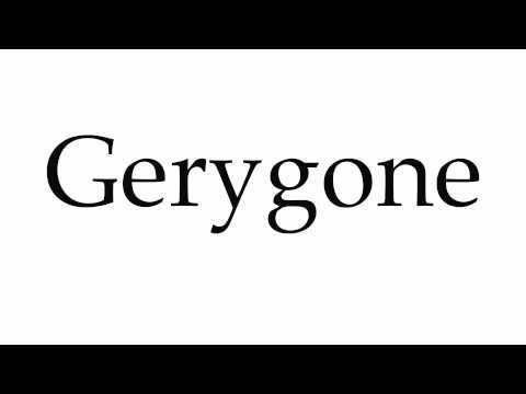 How to Pronounce Gerygone
