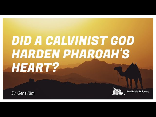 Understanding the Calvinist Perspective on Pharaoh's Heart: A Critical ...