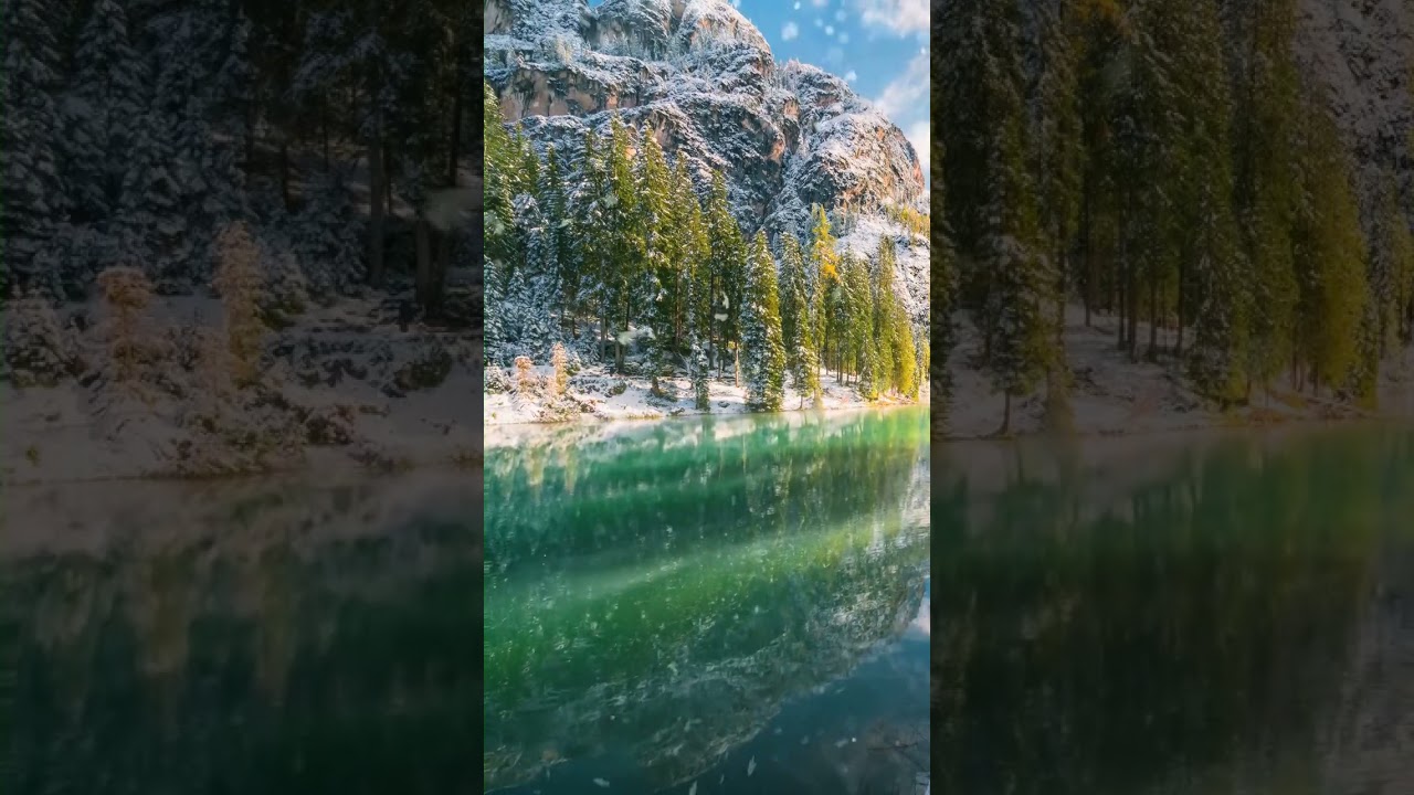 Trees Forest Lake Mountains with Snow HD Video footage - Live Wallpaper - WhatsApp status