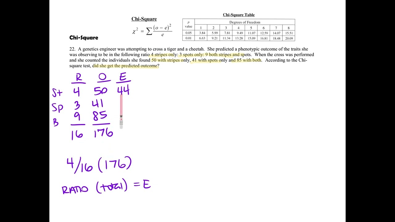 Chi Square Sample Problem