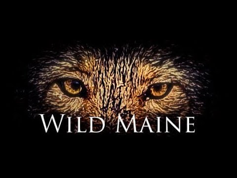 Wild Maine Intro