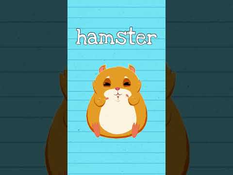 words that start with letter H #shorts #teacherayaonlinetutor #englishforkids