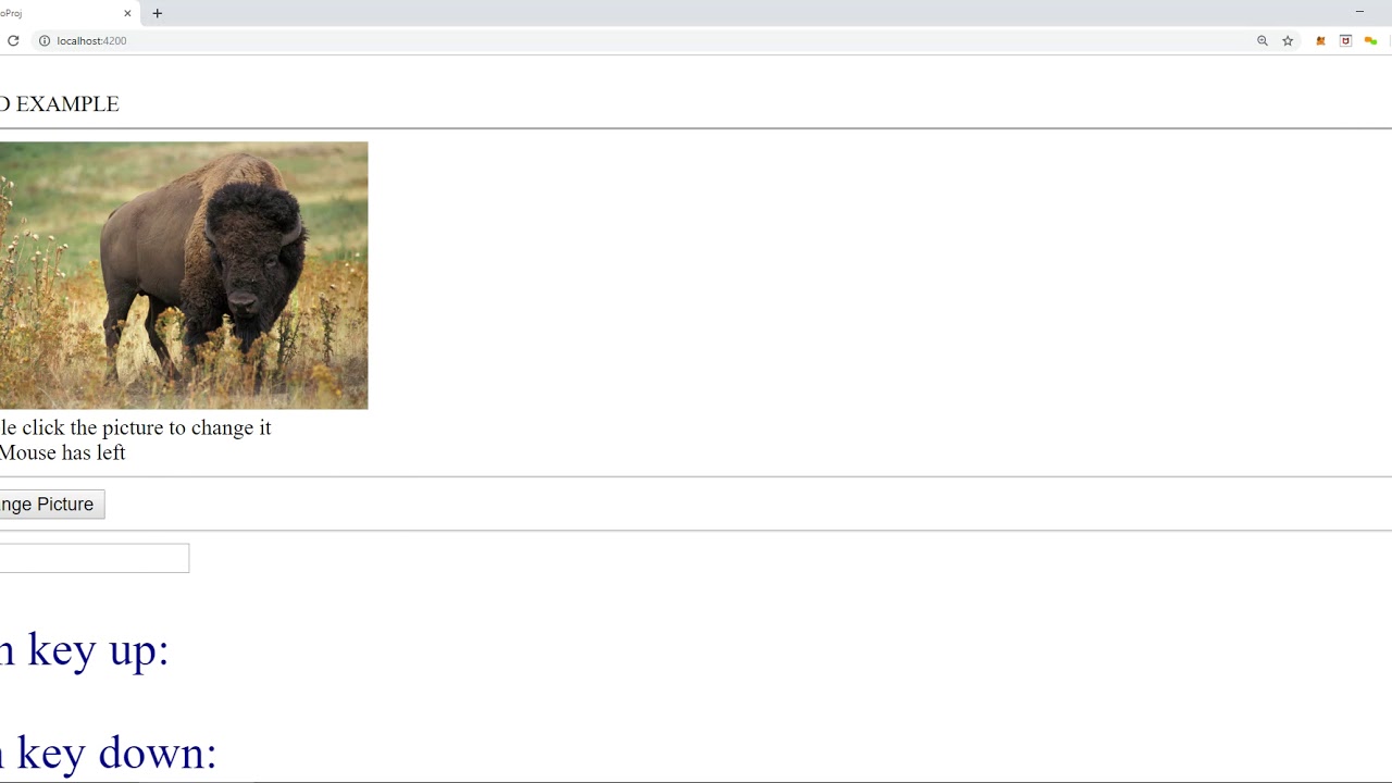 Angular 7 - Event Binding