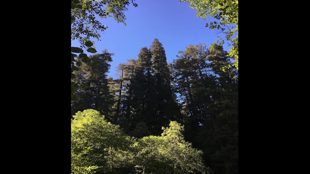 Deze dag in de geschiedenis voor maandag 25 augustus