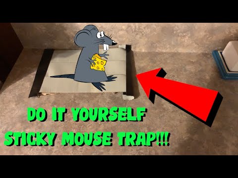 Do it yourself sticky mouse trap