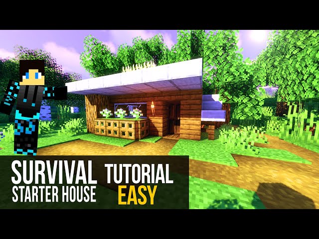 Starter House Minecraft Map