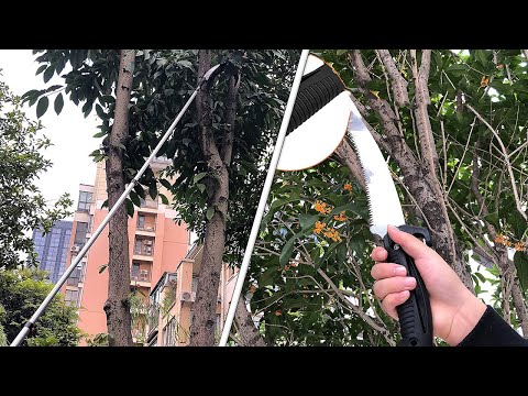Trimming Trees Made Easy with a Manual Pole Saw