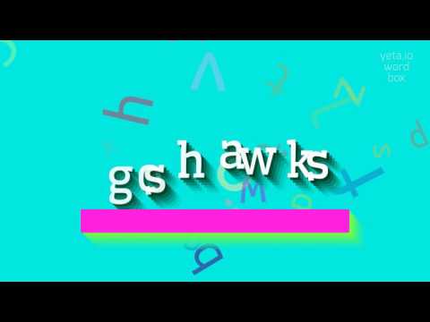 How to say "goshawks"! (High Quality Voices)