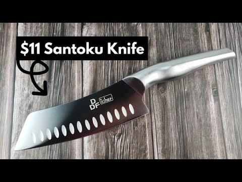 I Bought an $11 Santoku Knife on Amazon | Cheap Budget Kitchen Knives | What's Up Wednesday!