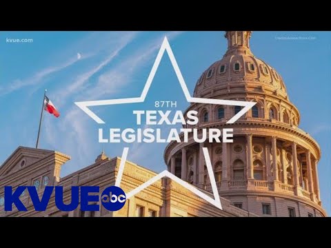 Texas Senate committee reviews social media bill | KVUE