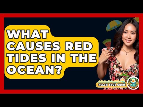 What Causes Red Tides In The Ocean? - Beach Tour Guide