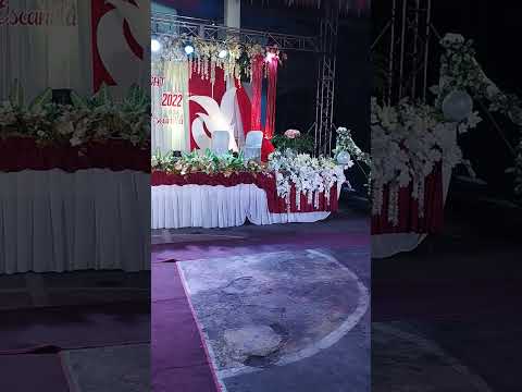 Coronation Stage Set Up Design #backdropdesign #stageshow #shorts
