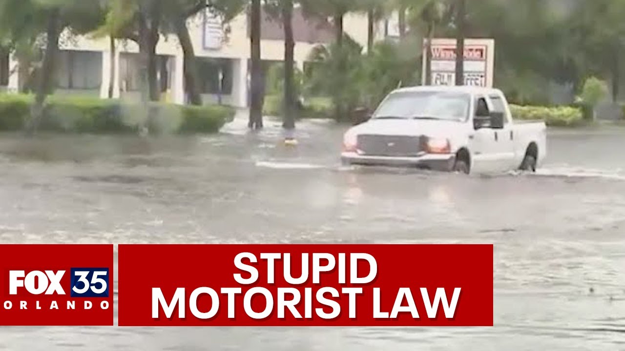 Volusia County Council passes 'stupid motorist law'