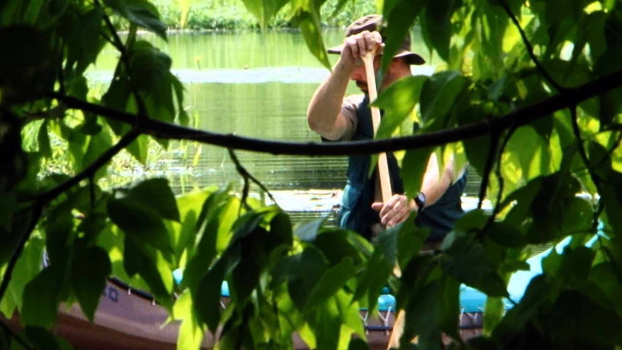 Mit dem Kanu unterwegs auf der Spree