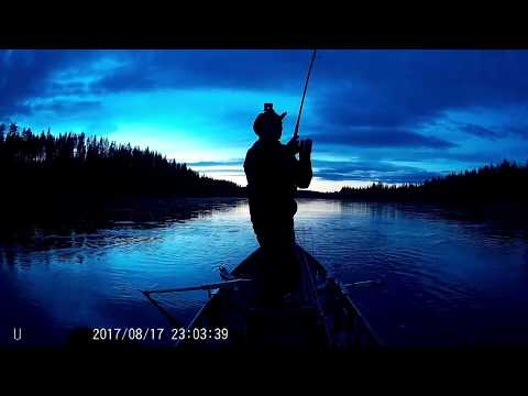 Salmon action with the TTS and the Elämysvirta - Flow of Experience