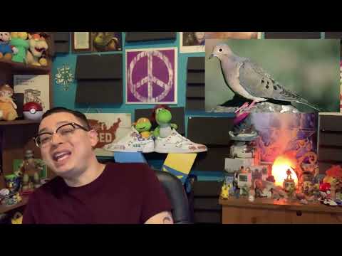 Mourning Dove | Spiritual Meanings of Seeing | A Friday Podcast Clip w/ Chris Chaos