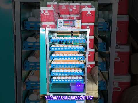 500 Eggs Fully Automatic Incubator Metal Body low Price Incubator#viralvideo #viralshorts #incubator