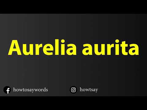 How To Pronounce Aurelia aurita
