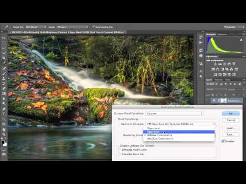 Perfect Color with Joe Brady, Part 1: Perfect Color for Inkjet Printing!
