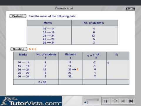 What is Mean in Statistics | Examples