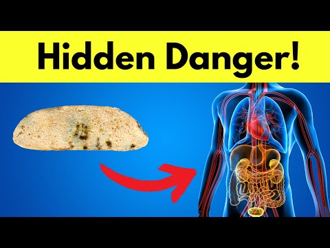 What Happens If You Eat Moldy Bread