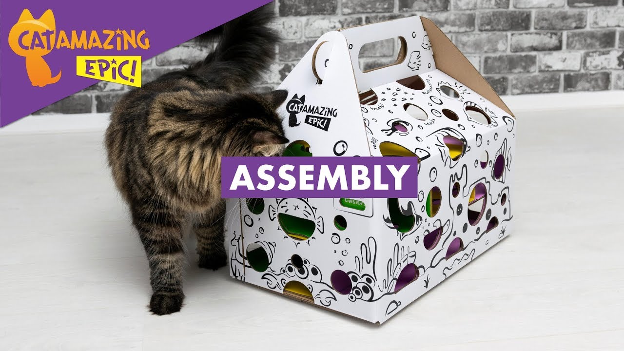 Cat Amazing EPIC! Assembly Instructions
