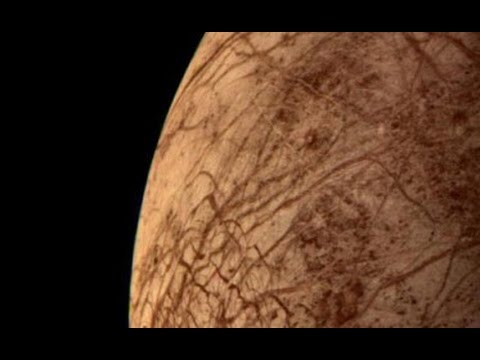 Why Should We Search For Life?