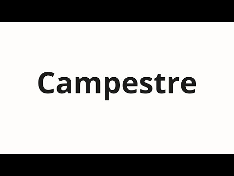How to pronounce Campestre
