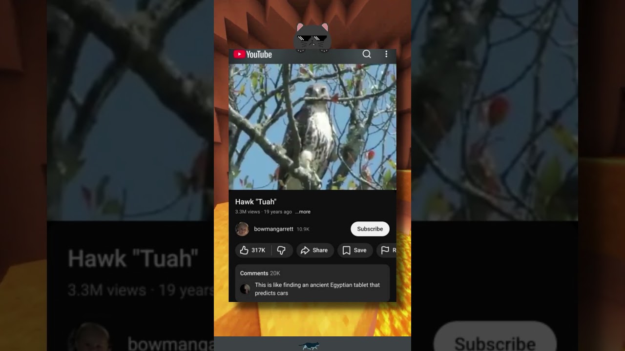 Internet Gems Pt. 217 [Hawk Tuah] #shorts #voiceover #tumblr