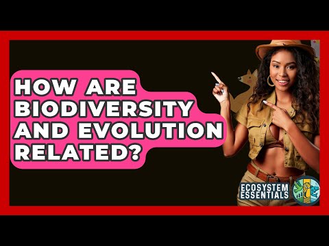 How Are Biodiversity And Evolution Related? - Ecosystem Essentials