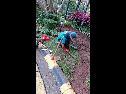Membutuhkan Perawatan Taman PT INDONESIA BERSIH RAPI solusinya