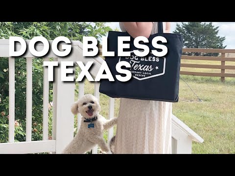 Dog Bless Texas, Supporting Houston Animal Rescue #NeighborhoodSpotlight #movemetotx