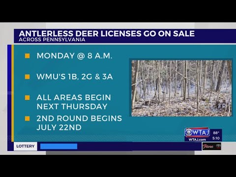 Antlerless deer hunting licenses on sale Monday, but only in these areas