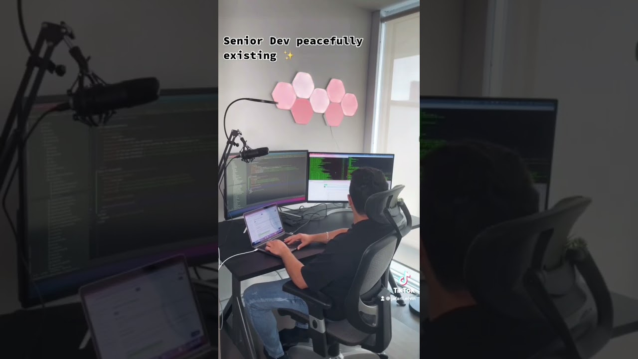 A day in a life of Junior/Senior Developer