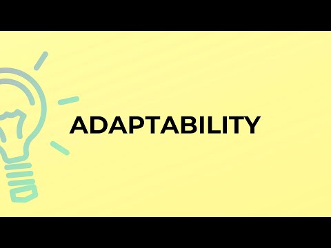 What is the meaning of the word ADAPTABILITY?