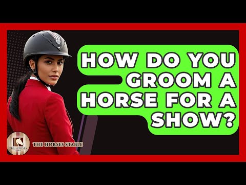 How Do You Groom A Horse For A Show? - The Horses Stable