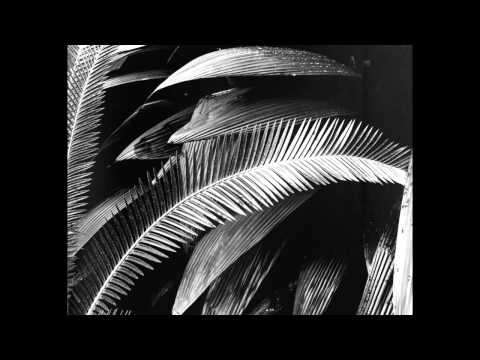 Remembering Brett Weston, Ep. 2, 2013