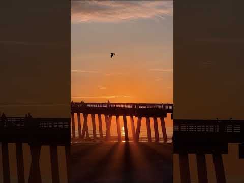 Florida Sunrises: The Most Beautiful Way to Start the Day