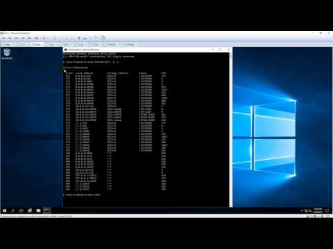 Netstat - Displays Ports opened