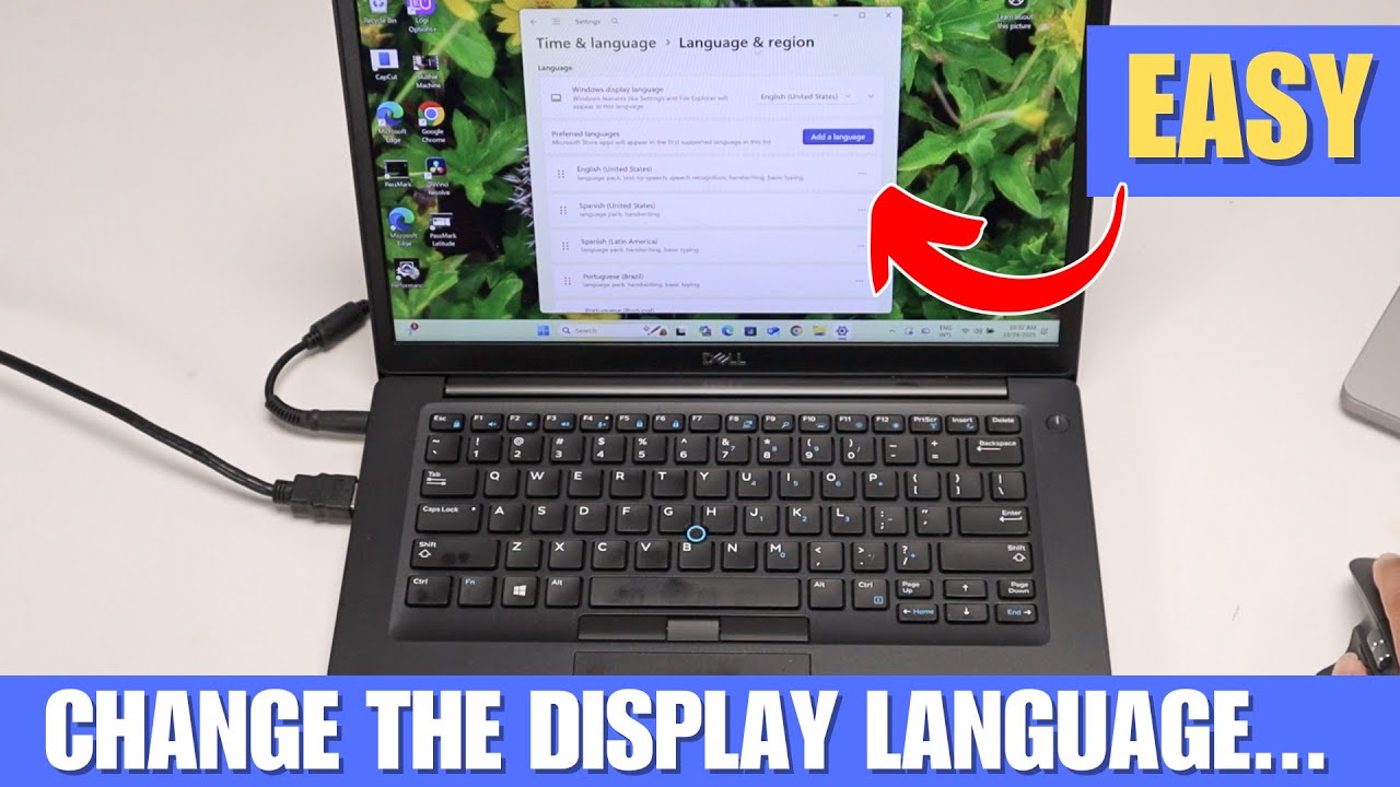 Windows 11 Display Language Not Changing