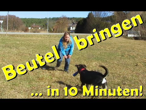 Futterbeutel apportieren - in 10 Minuten!