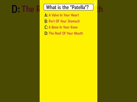 Define the term Patella.