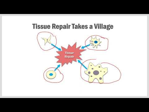 What the Difference Between Stem Cell Types used in Orthopedic Care?